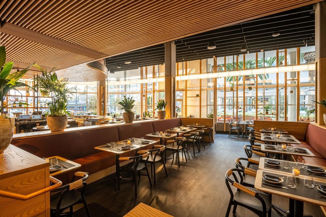 Magari | Restaurants | Cass Calder Smith