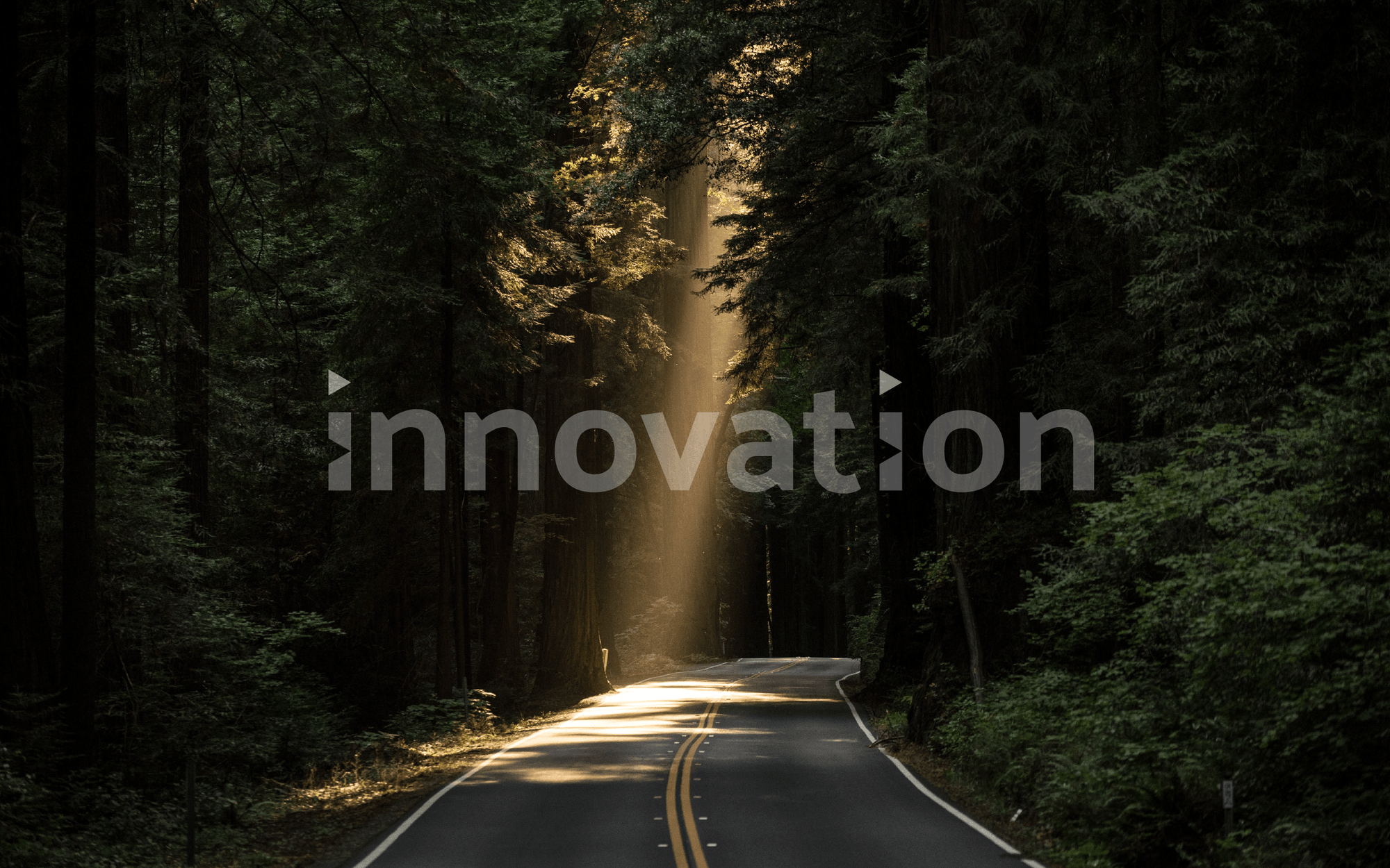 Why Innovation is Hard | Adalo Blog