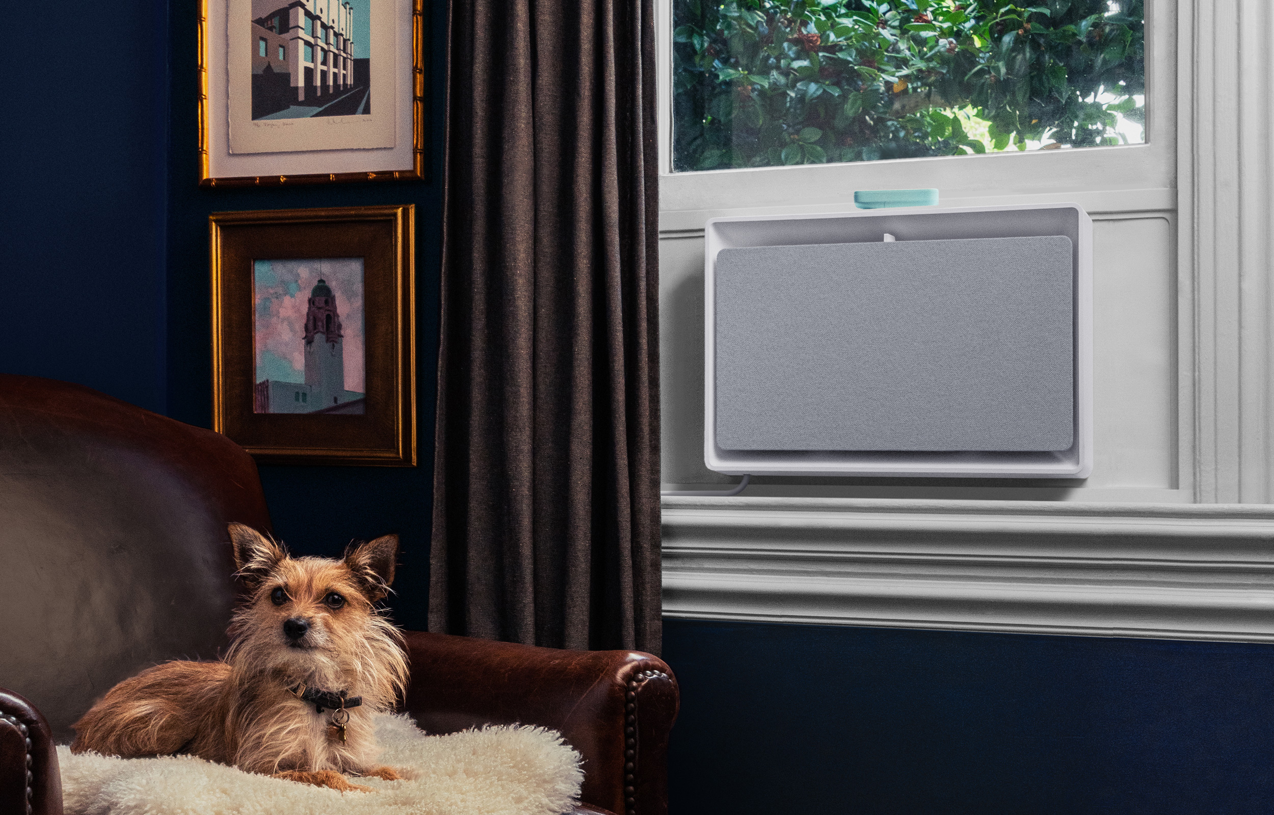 July Personalized Air Conditioner Personalized Air Conditioner – Box Clever