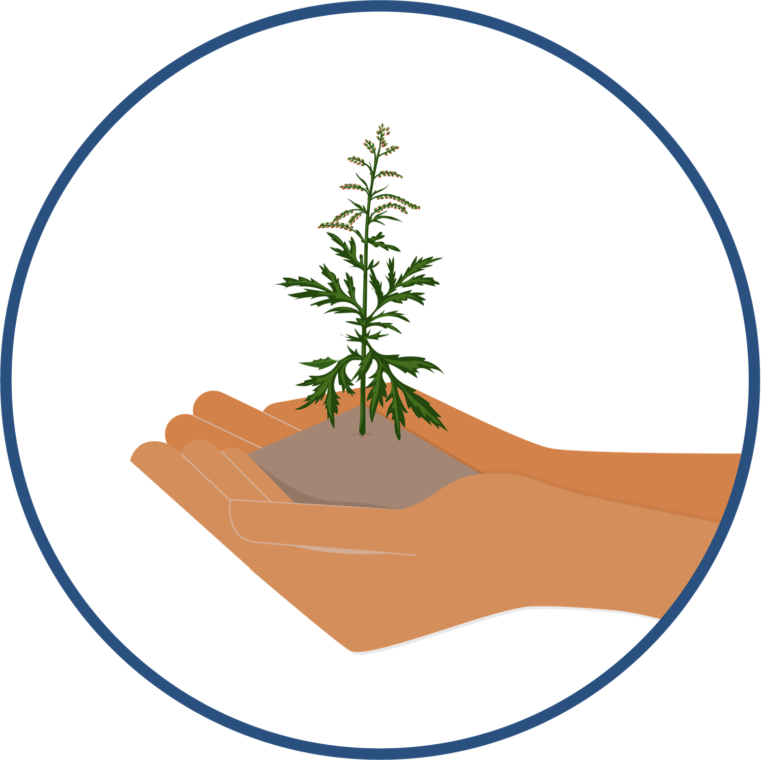 Comprehensive Community Planning | Capacity Development | UNSM