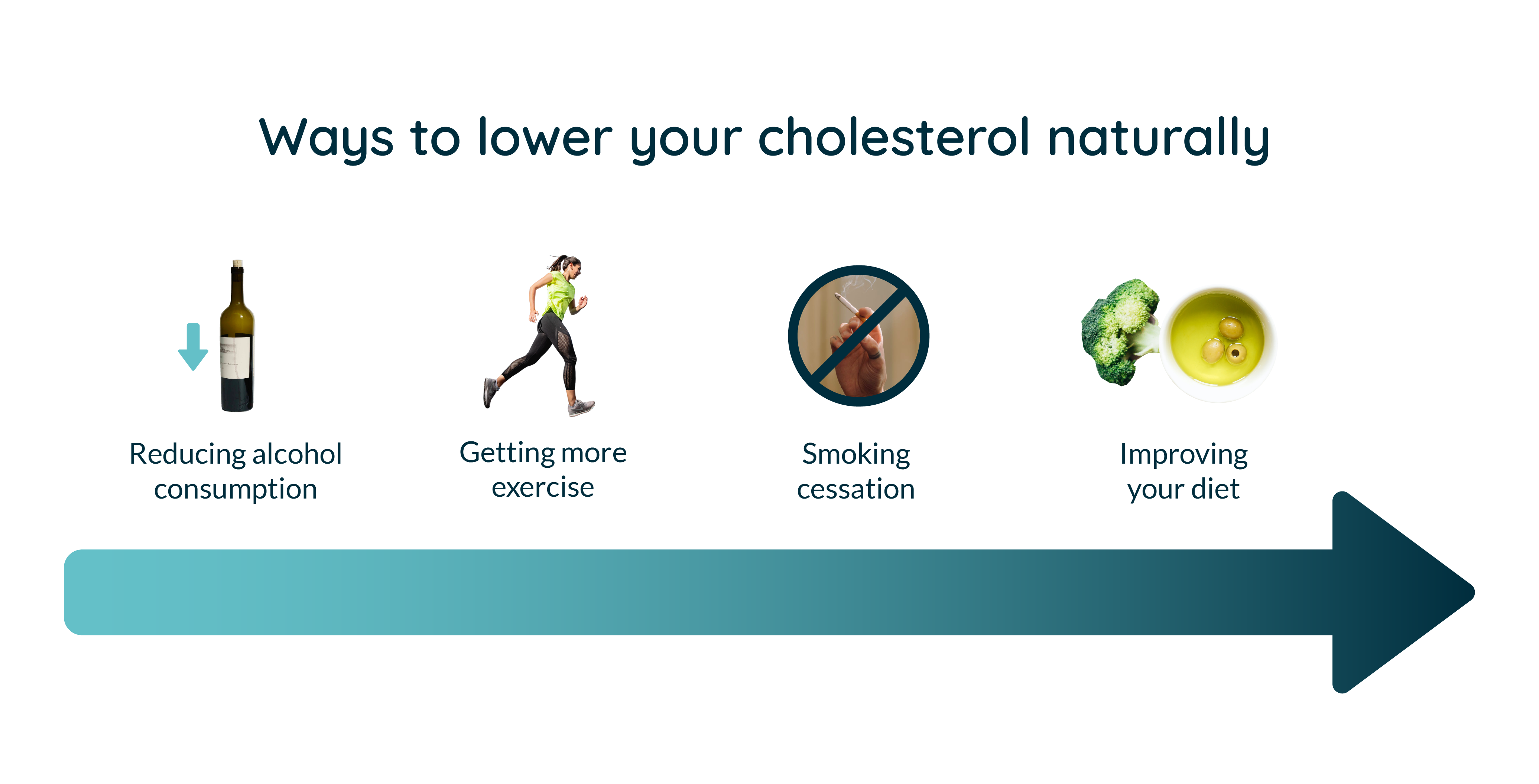 High Cholesterol: Definition, Causes & Treatment | Phlo Blog