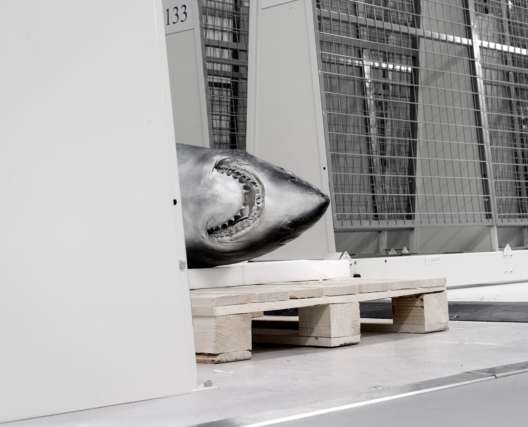 A Moveable Beast by Helge Skodvin