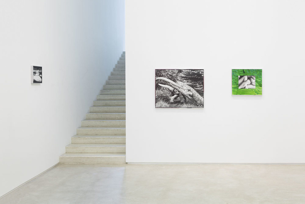 Selected works by David Benjamin Sherry