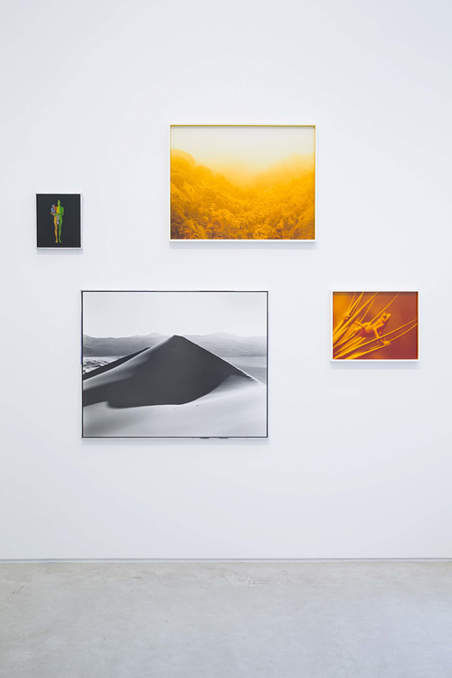 Selected works by David Benjamin Sherry