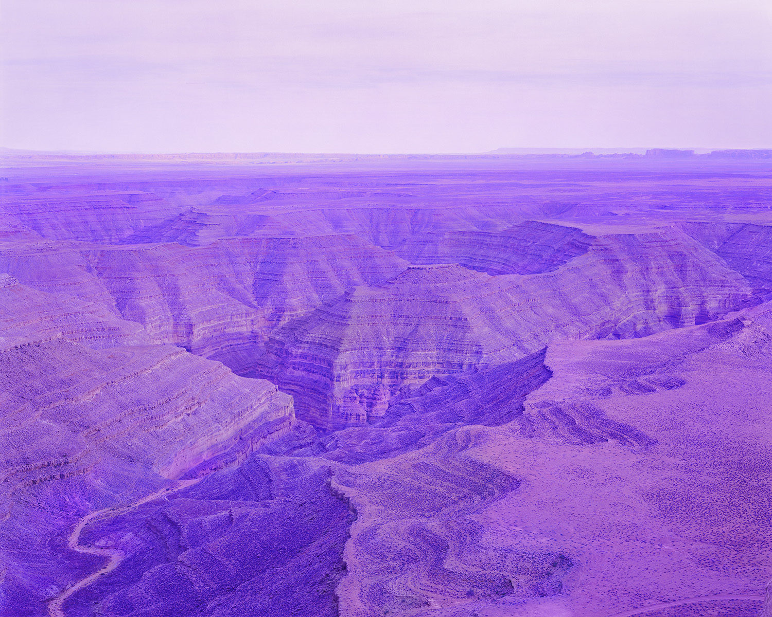 Selected works by David Benjamin Sherry