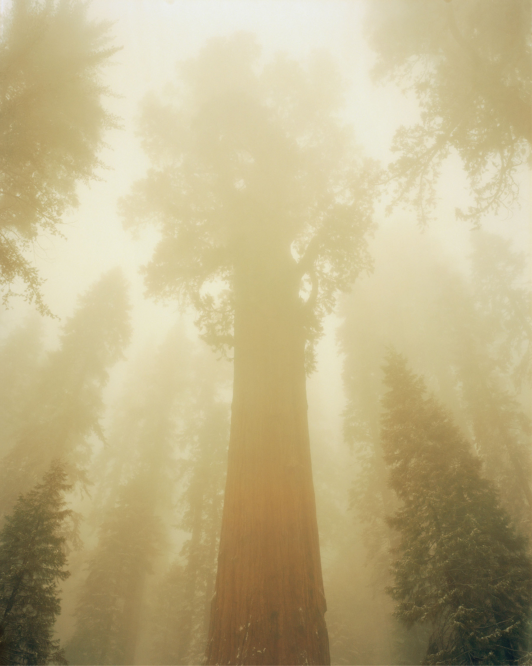 Selected works by David Benjamin Sherry
