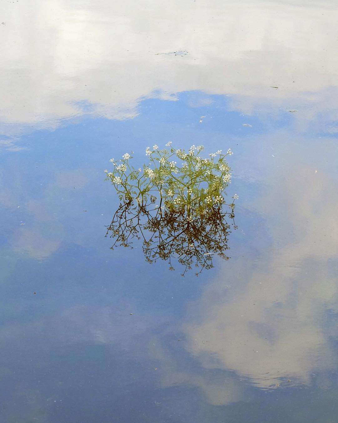 Selected works by Andy Smith