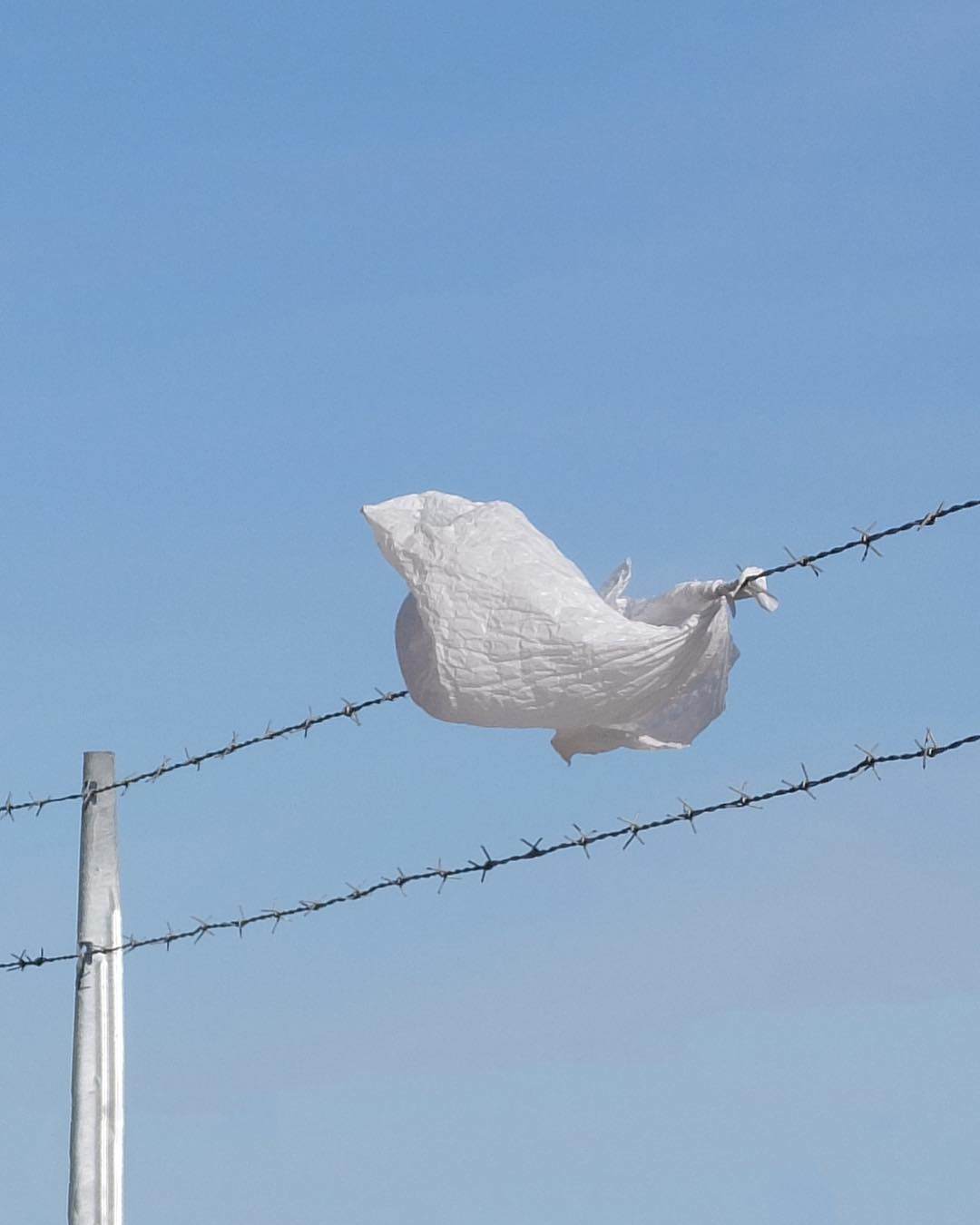 Selected works by Andy Smith