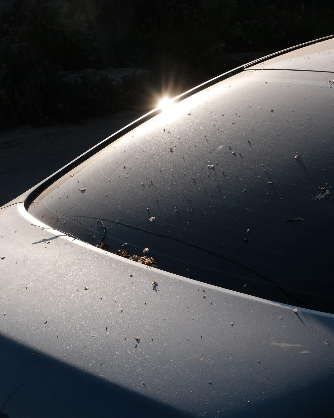 Selected works by Andy Smith