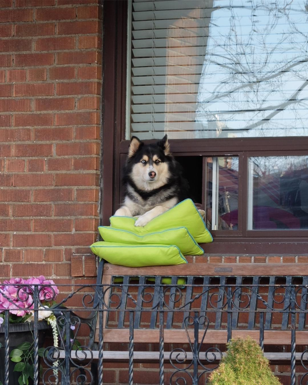 Selected works by Andy Smith