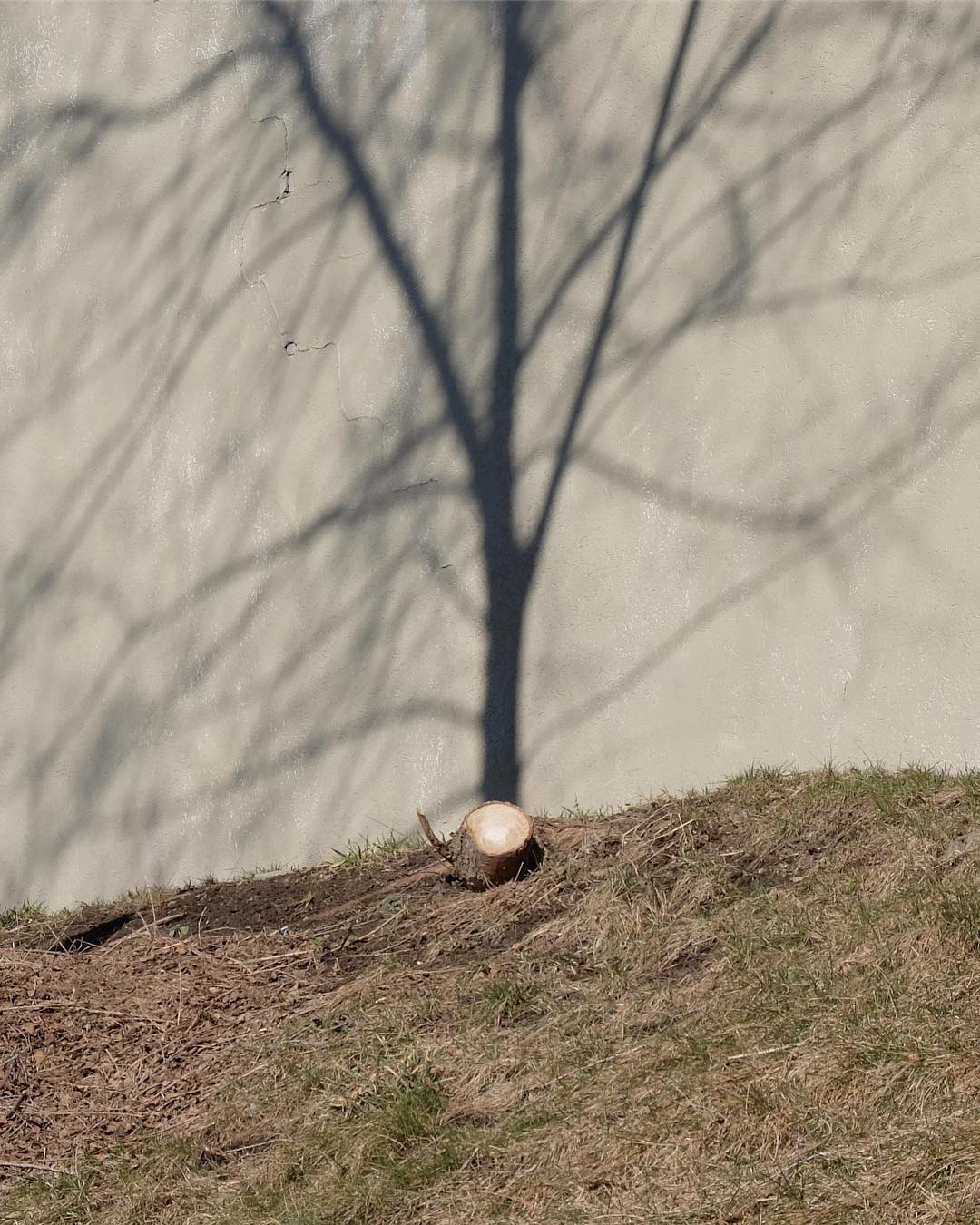 Selected works by Andy Smith