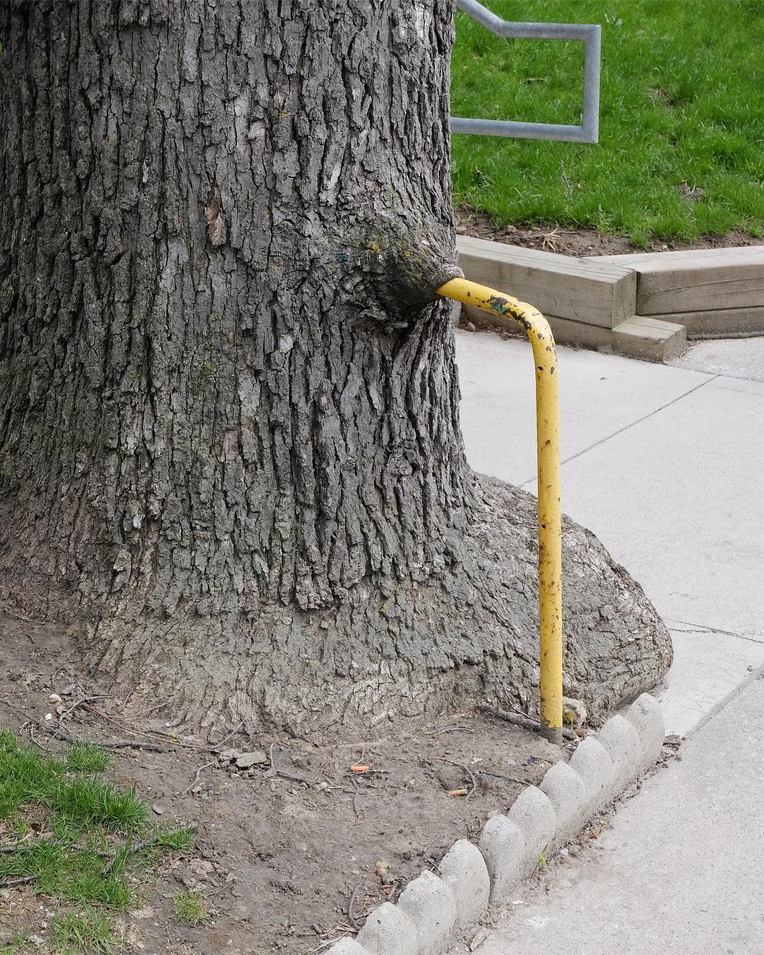 Selected works by Andy Smith