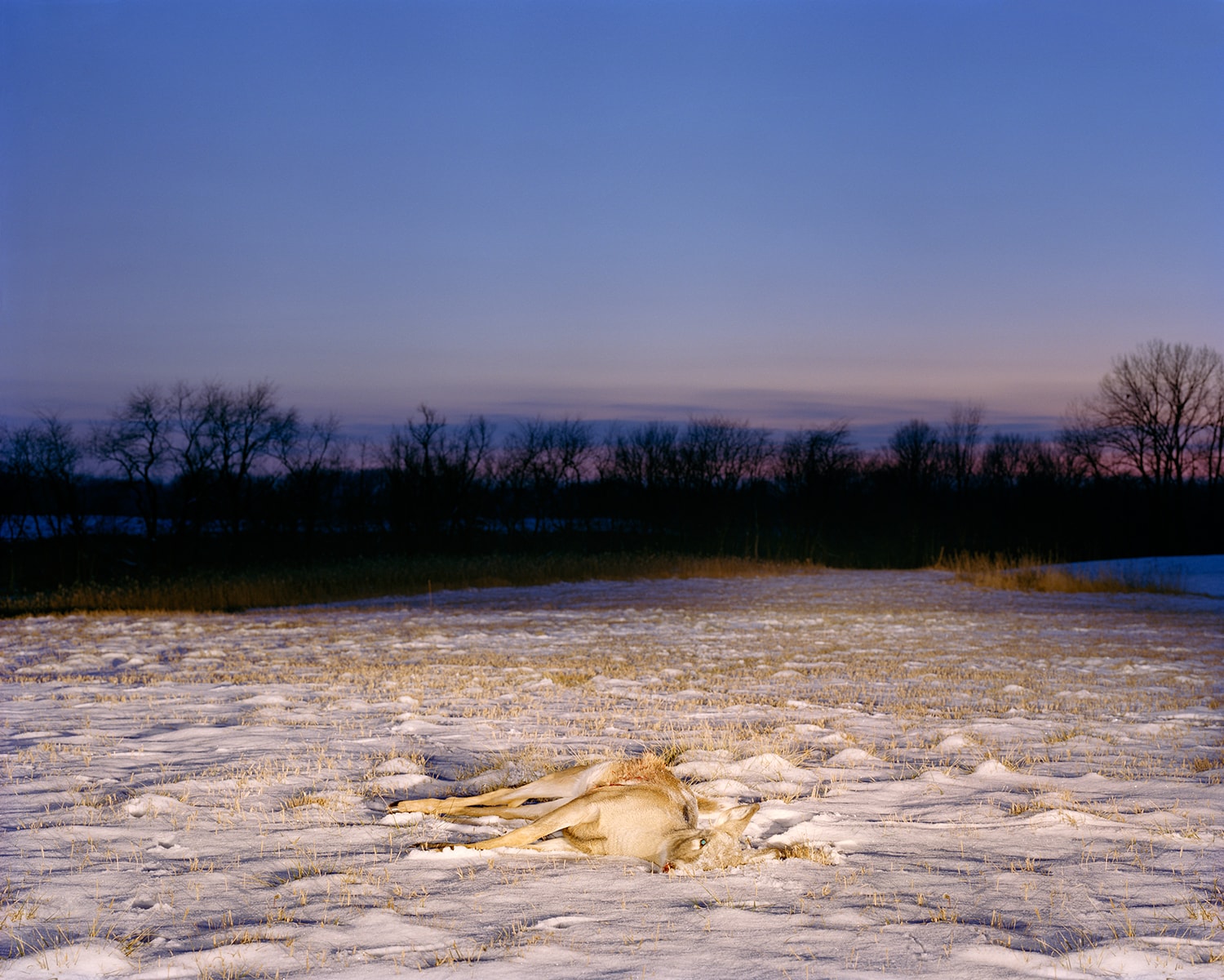 Left Behind by Angela Strassheim