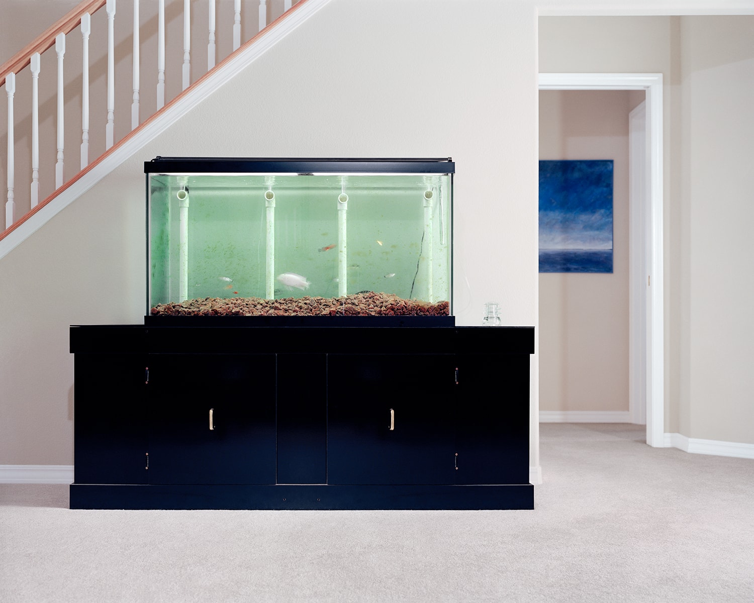 Left Behind by Angela Strassheim