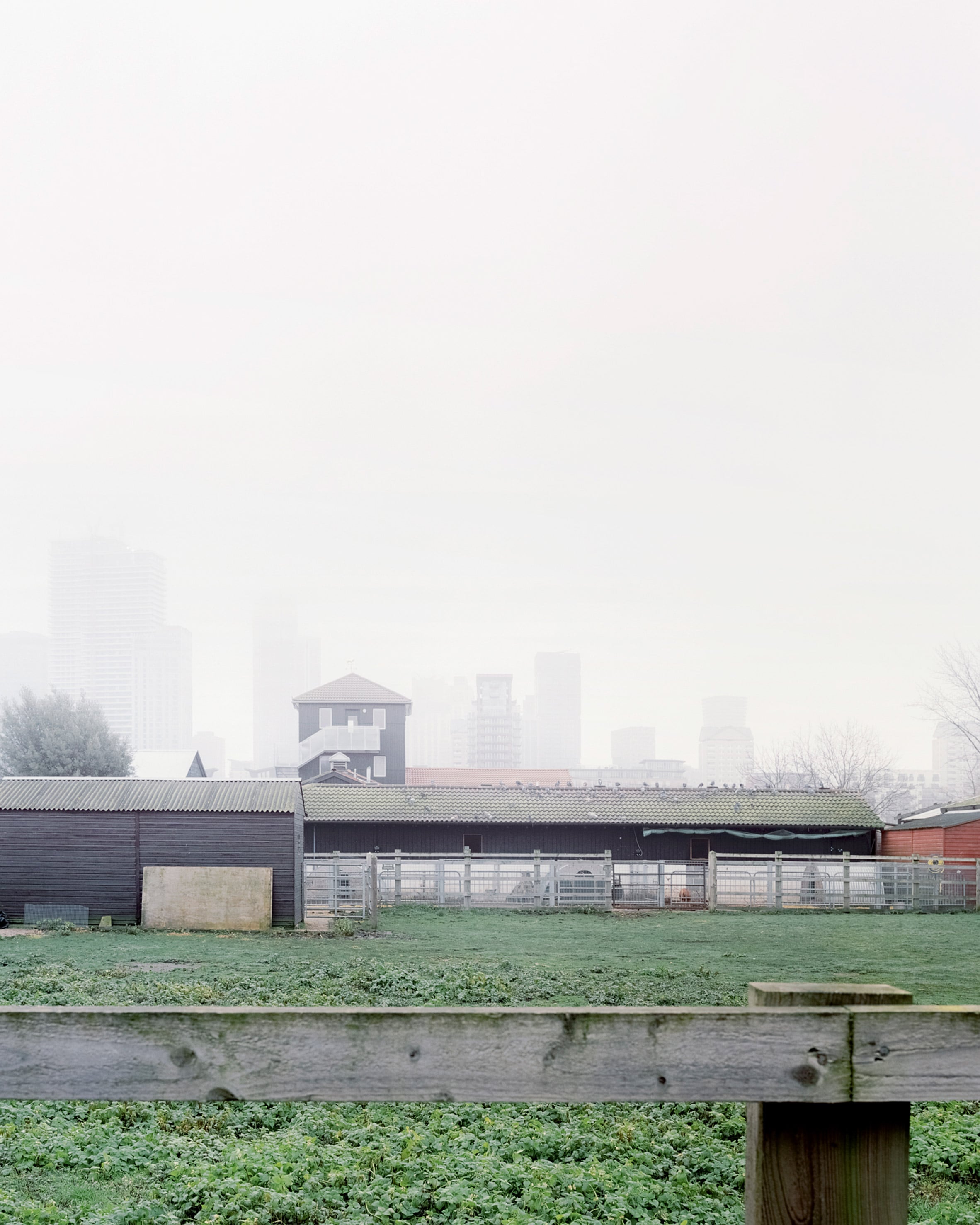 Surrey Docks Farm by PUP Architects