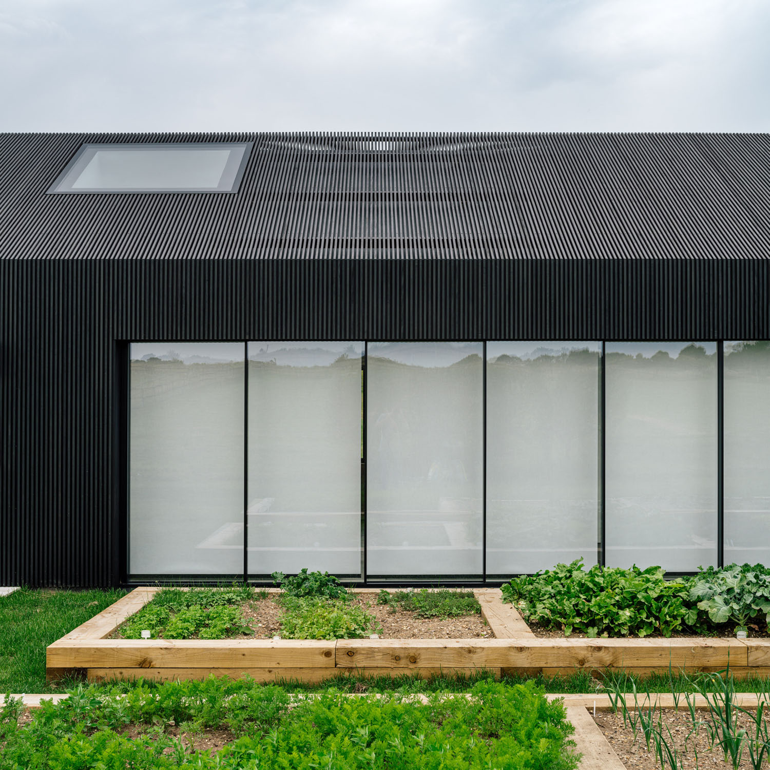 Friends Lab House by AMPS