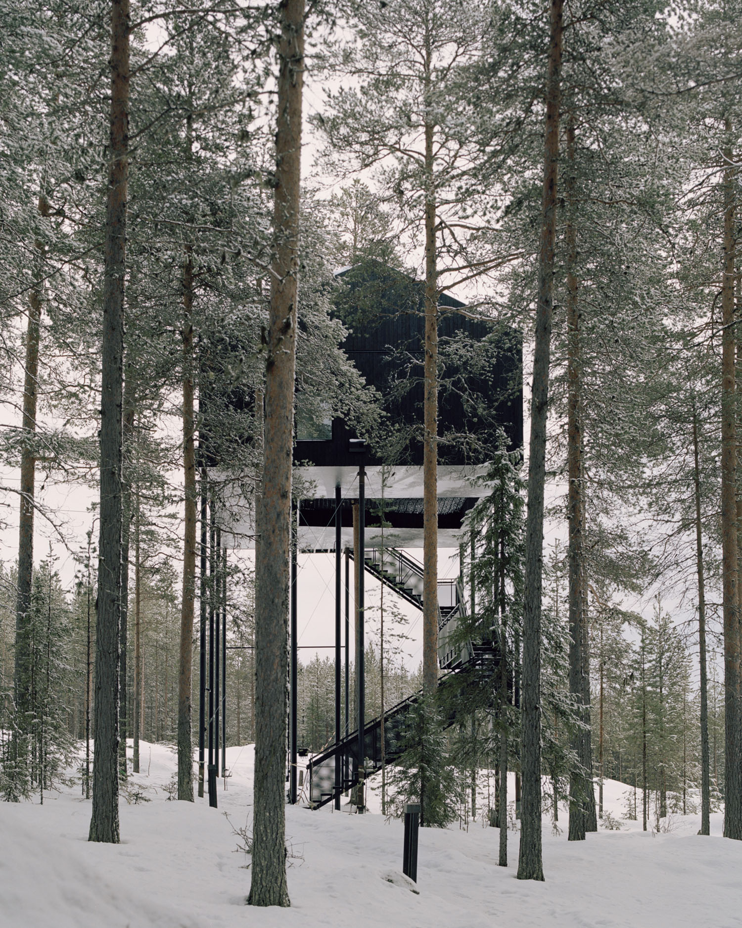 The 7th Room at the Treehotel by Snøhetta