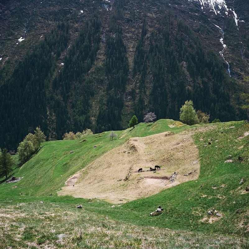 Scrublands by Antoine Bruy