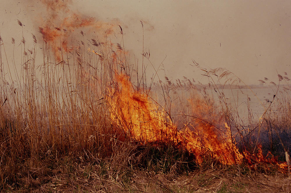 Selected works by Li Hui