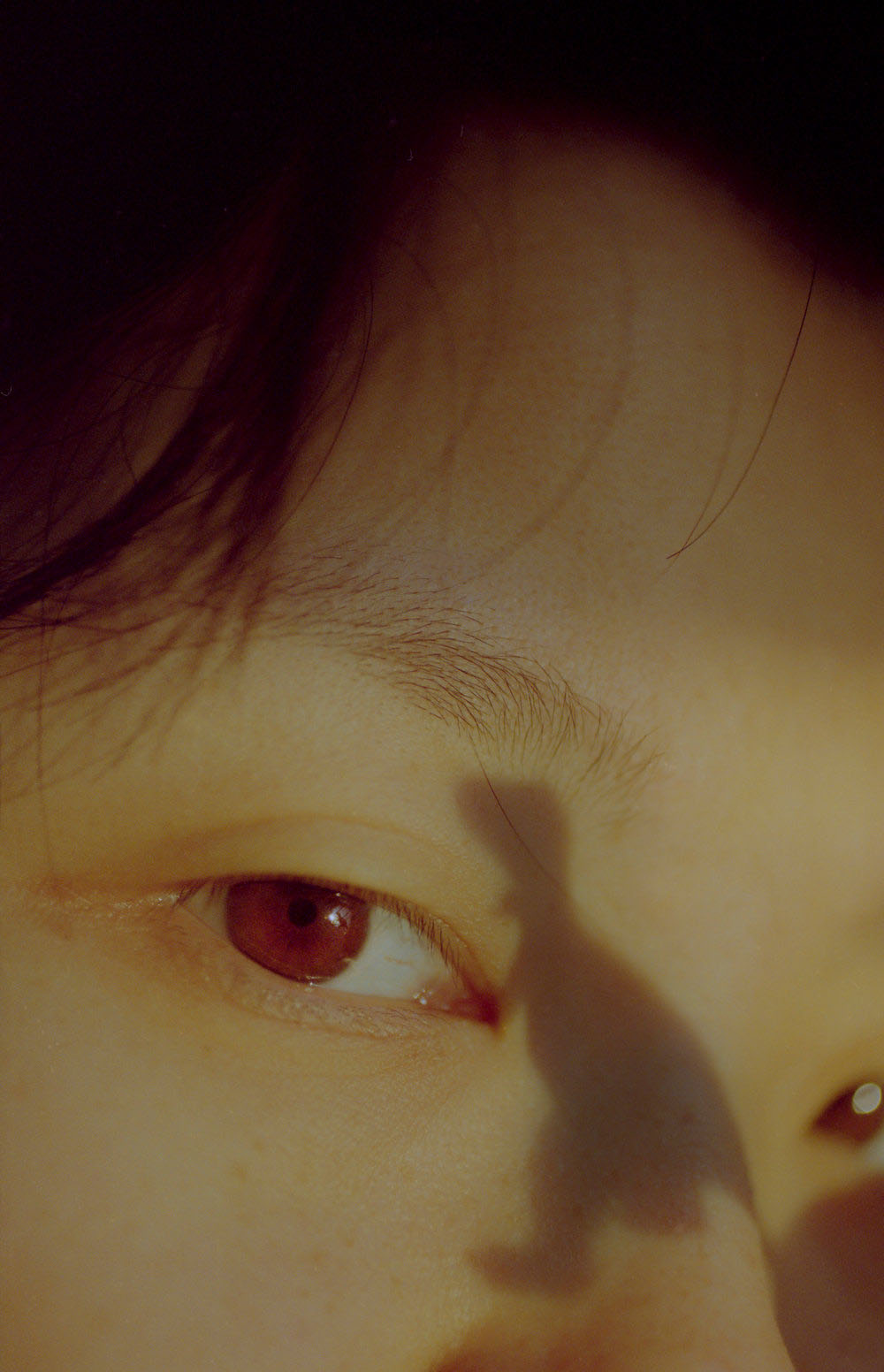 Selected works by Li Hui