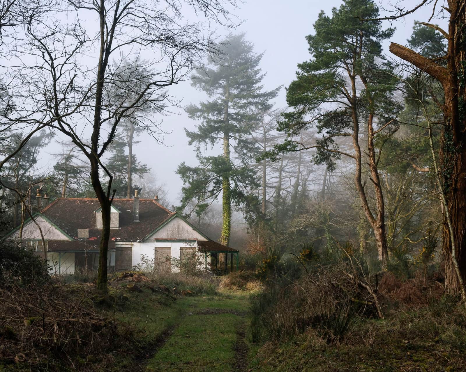 The Moor by Robert Darch