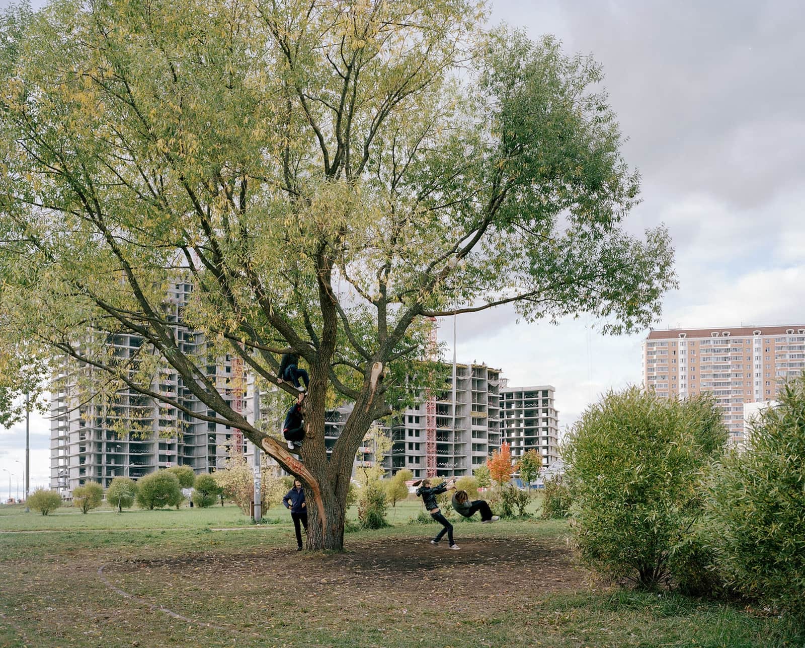 Pastoral I by Alexander Gronsky