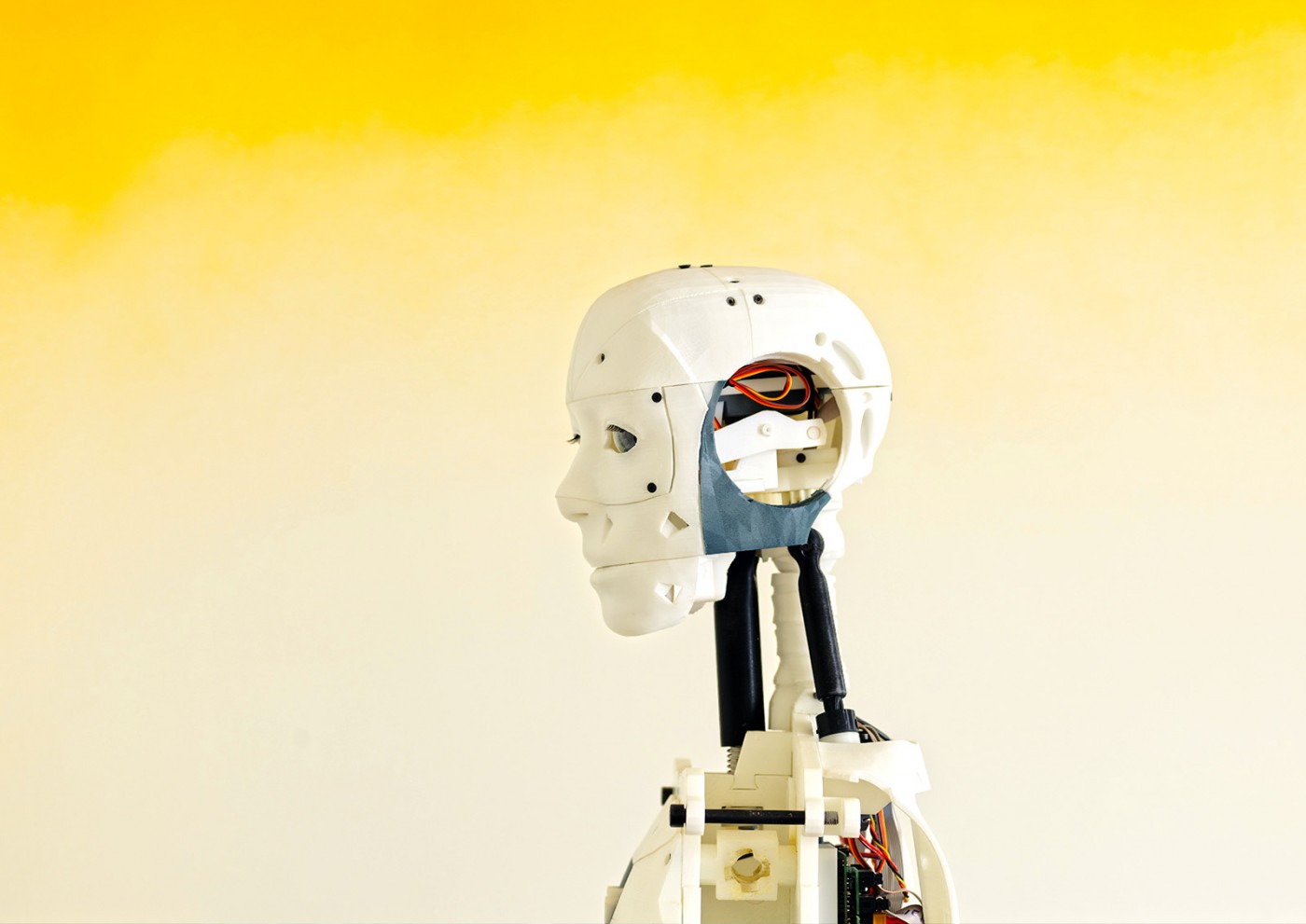 The Man Machine by Vincent Fournier