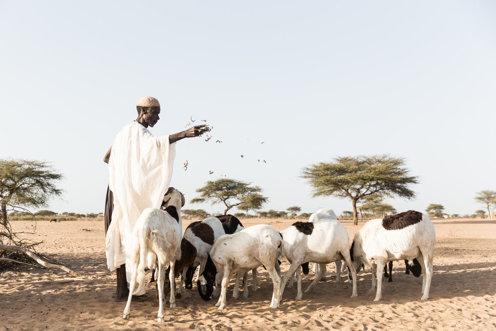 Climate Change in Senegal by Greta Rybus