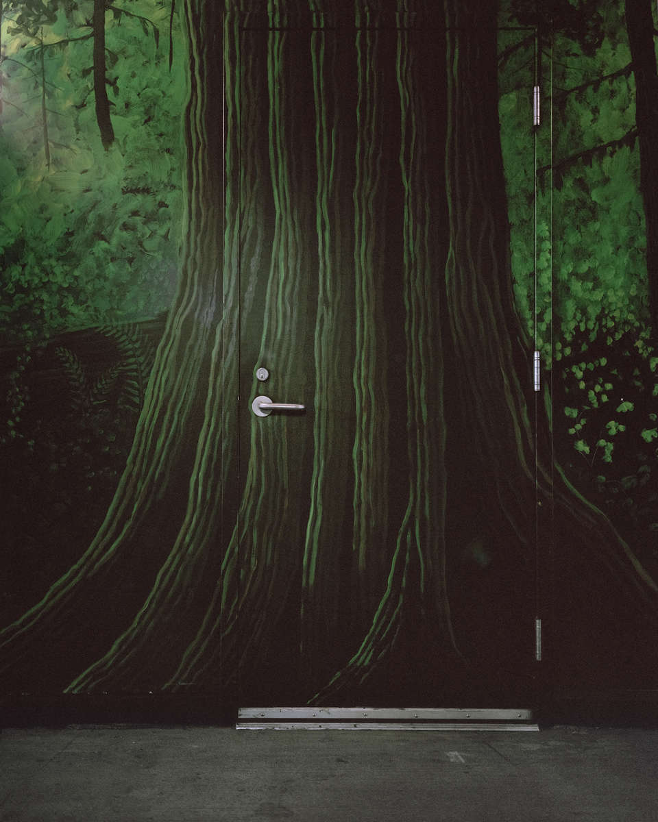 Sylvania by Anna Beeke