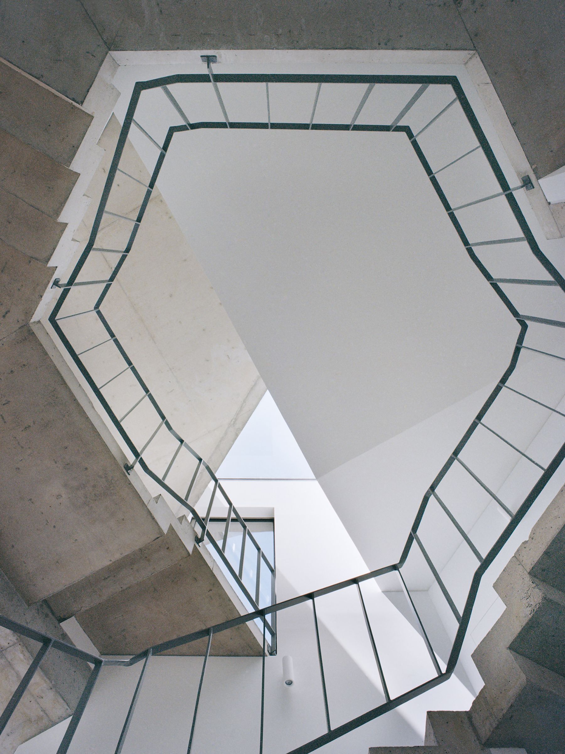 Trefoil House by Double (O) Studio