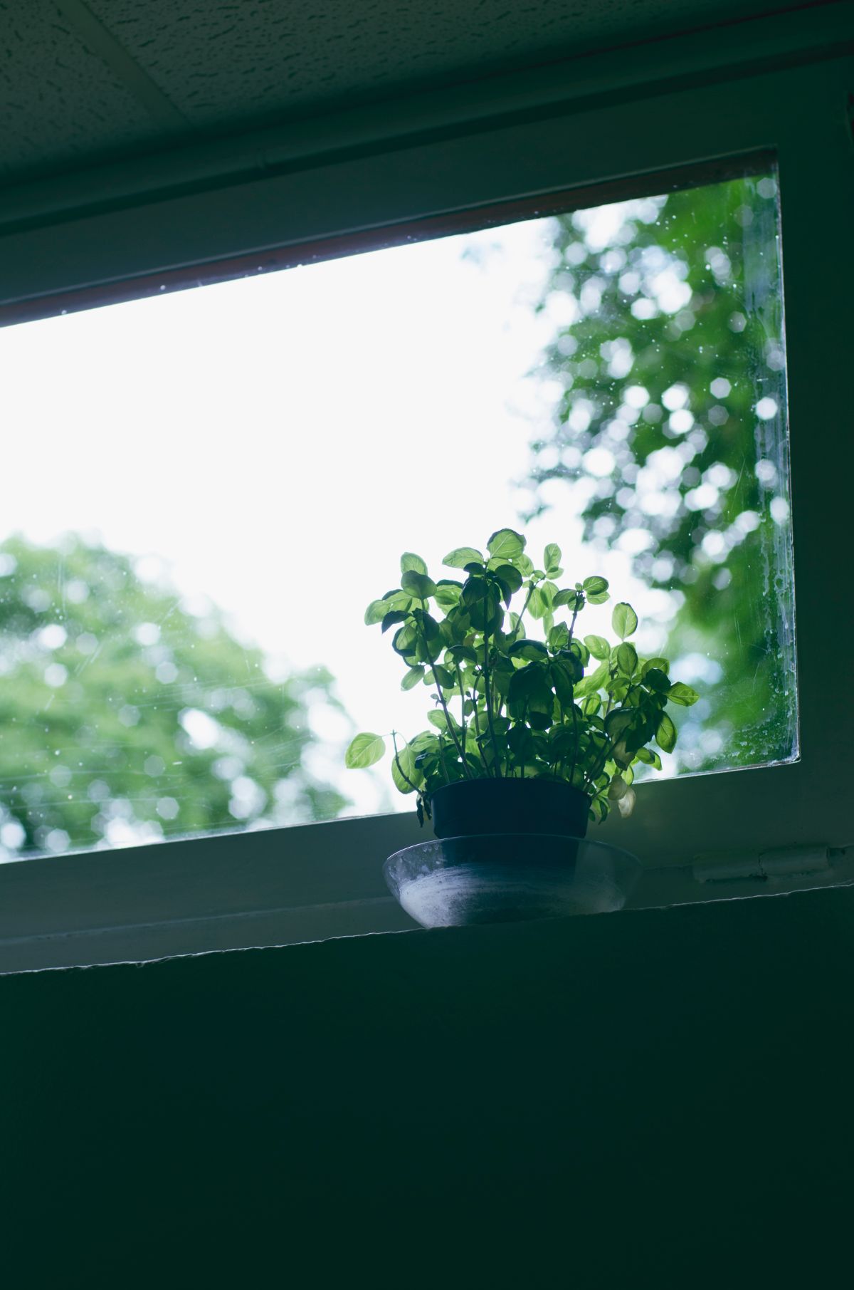 Thomas Bendel — Unbelievable