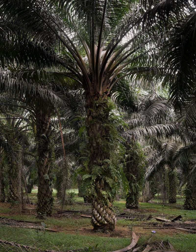 Selected works by Bas Princen