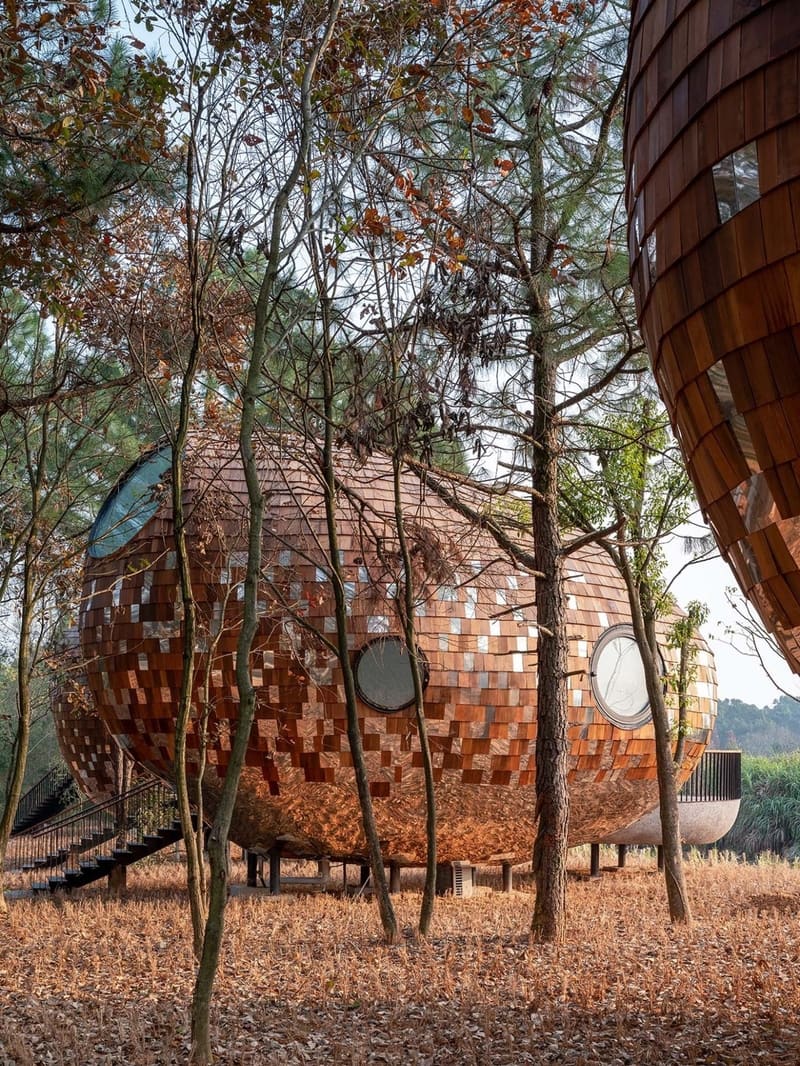 The Seeds Houses by ZJJZ Atelier
