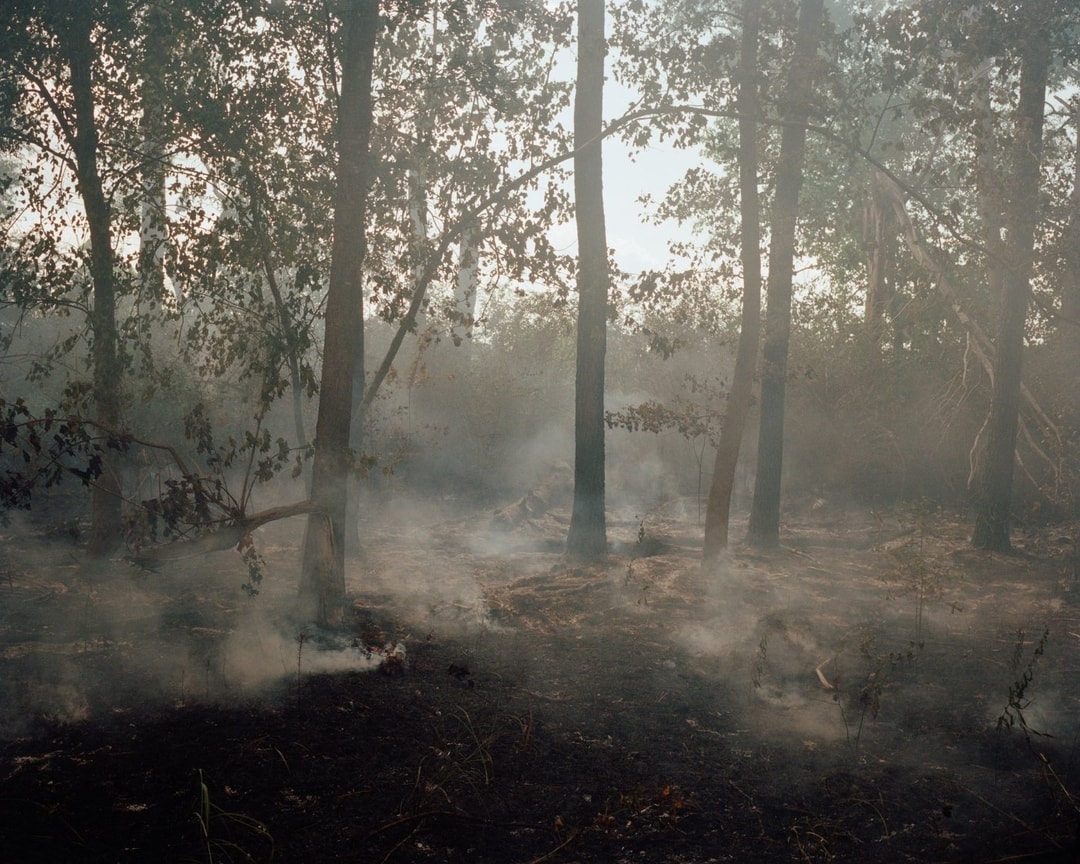 One Sun, One Shadow by Shane Lavalette