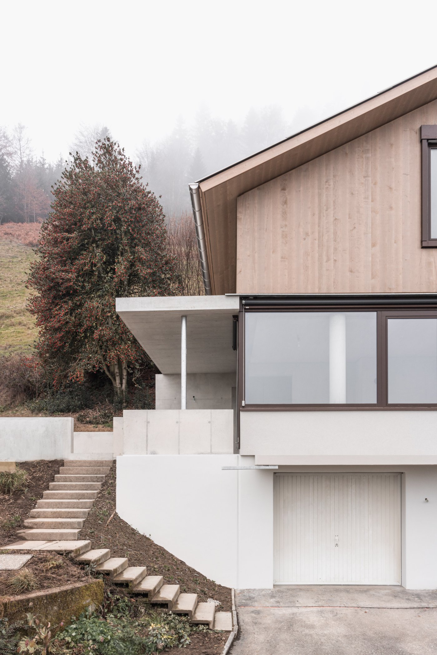 House on a Slope by architectural practice 'by Jung'
