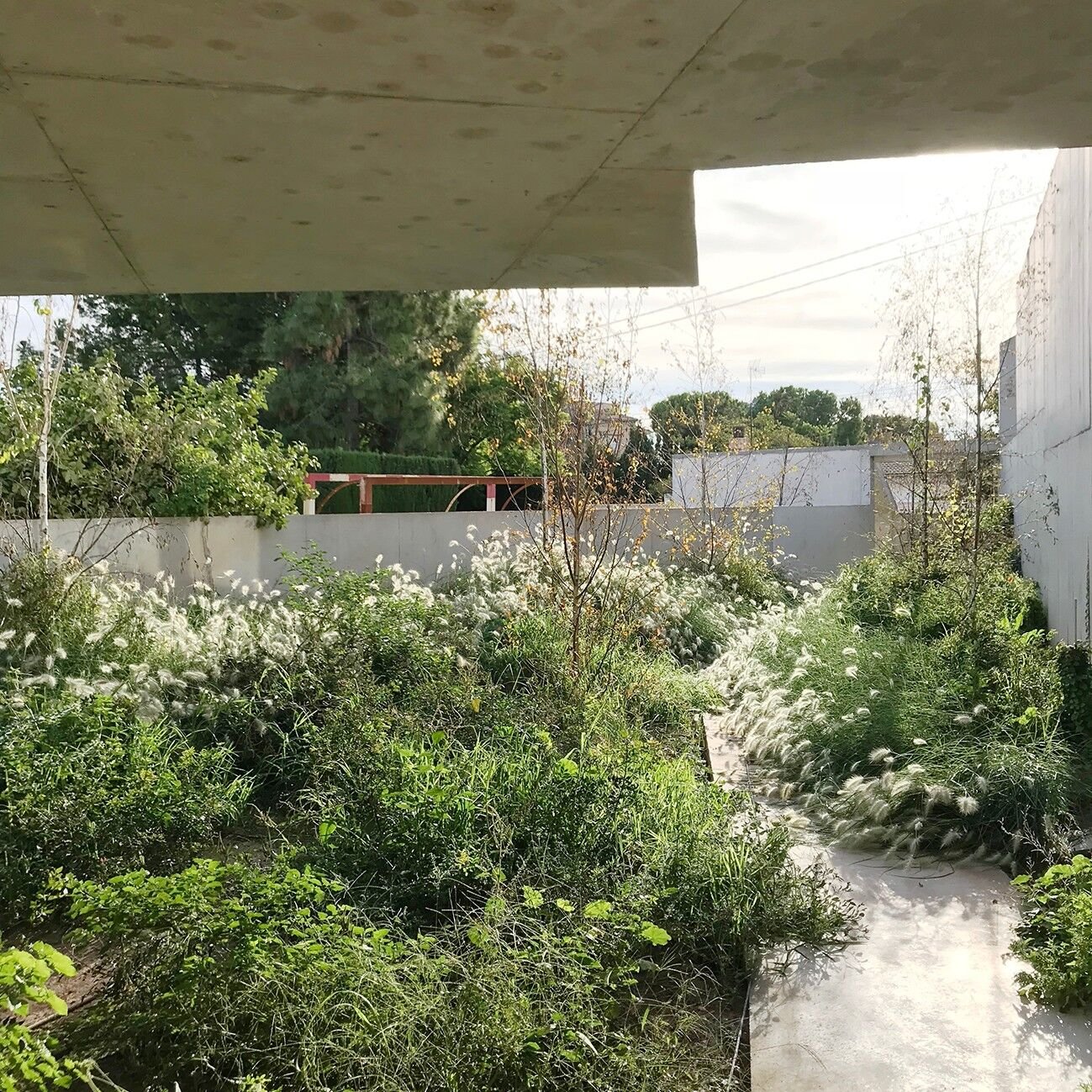 Casa Toto by grupo aranea