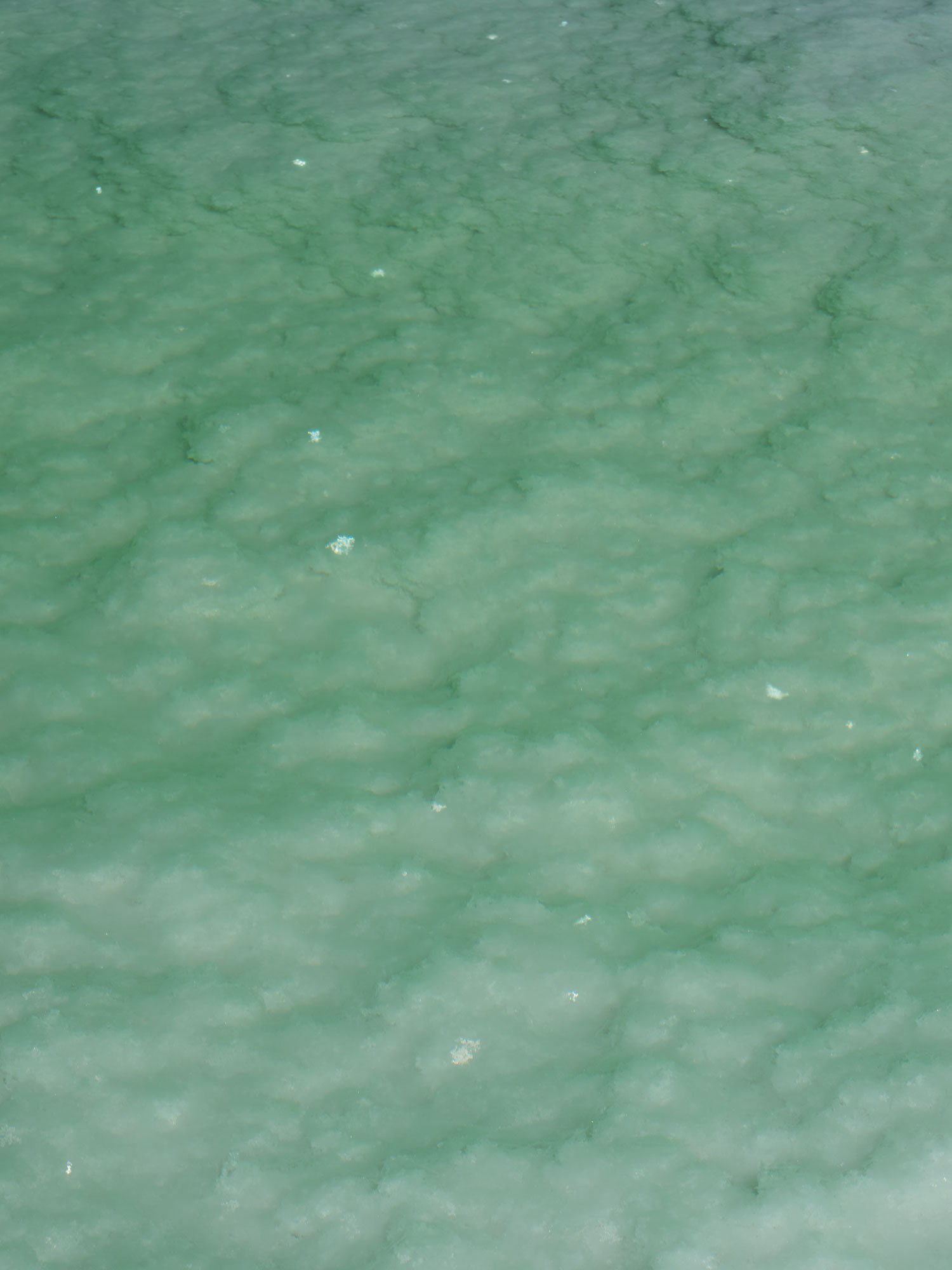 Living on the screen by Fang Kun