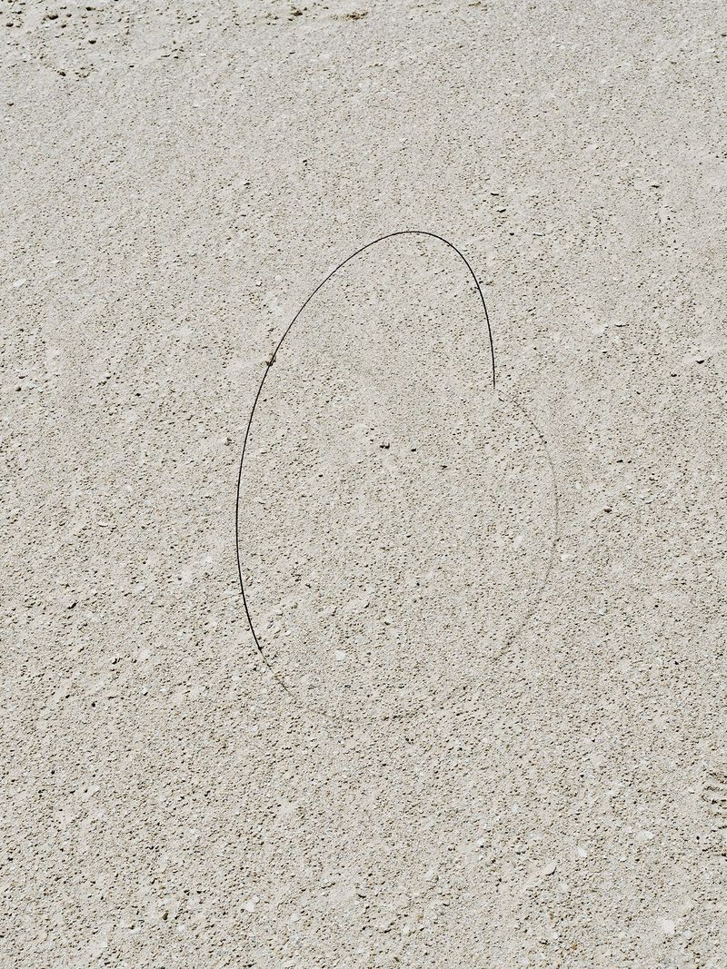 Living on the screen by Fang Kun