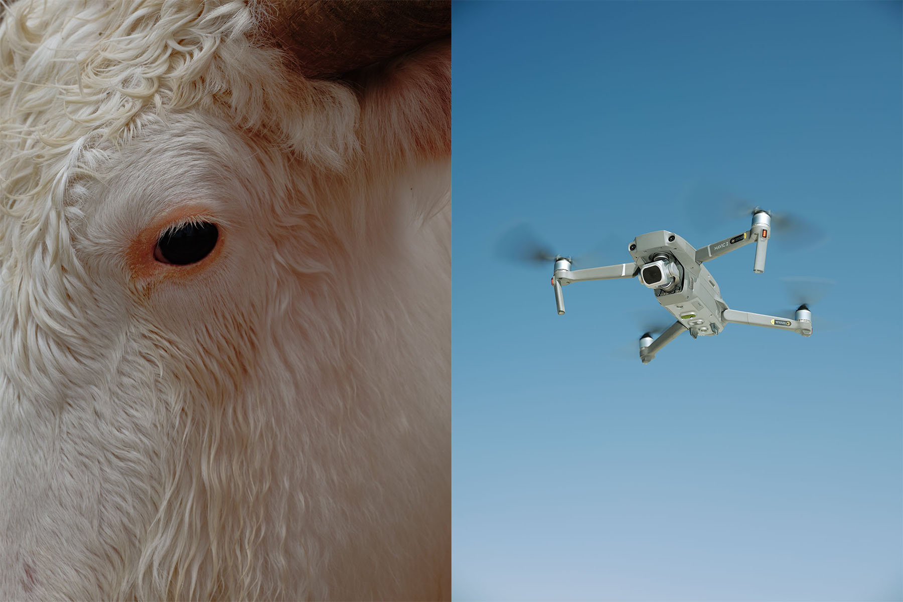 Living on the screen by Fang Kun