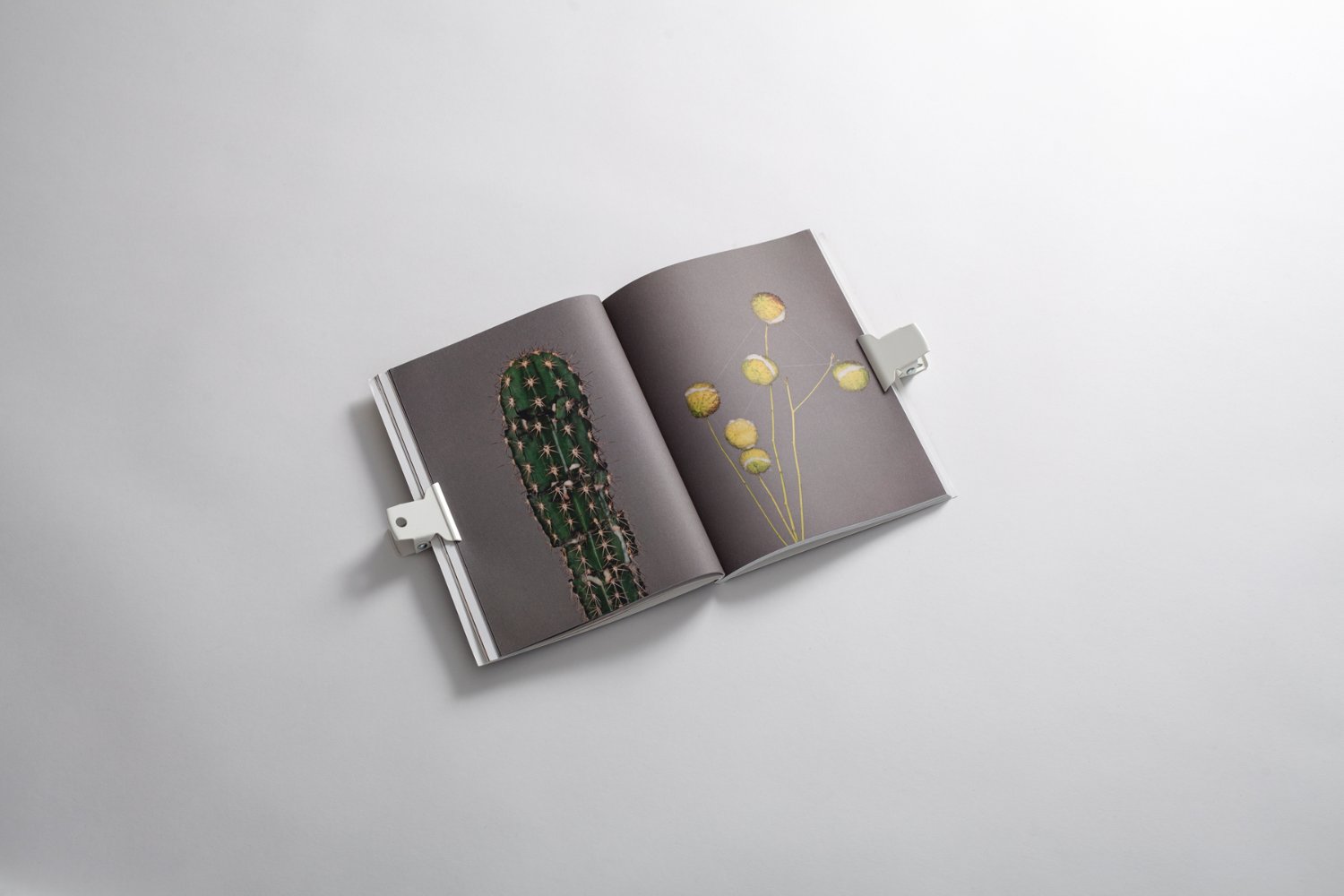Thisispaper Printed Magazine by Thisispaper Studio
