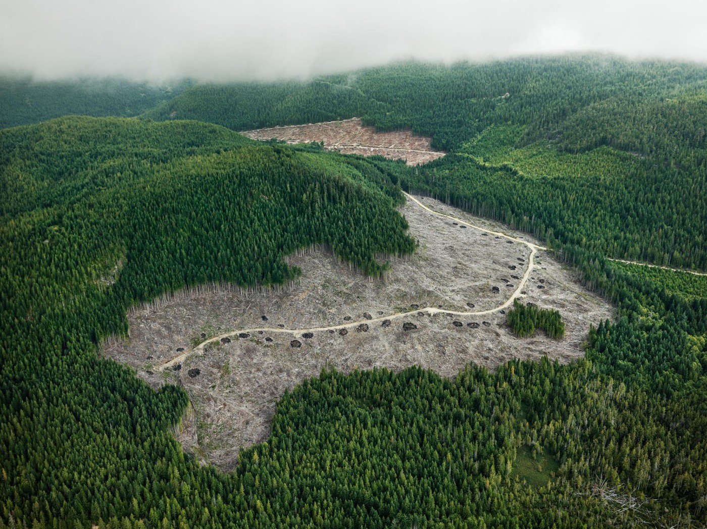 ANTHROPOCENE by Edward Burtynsky