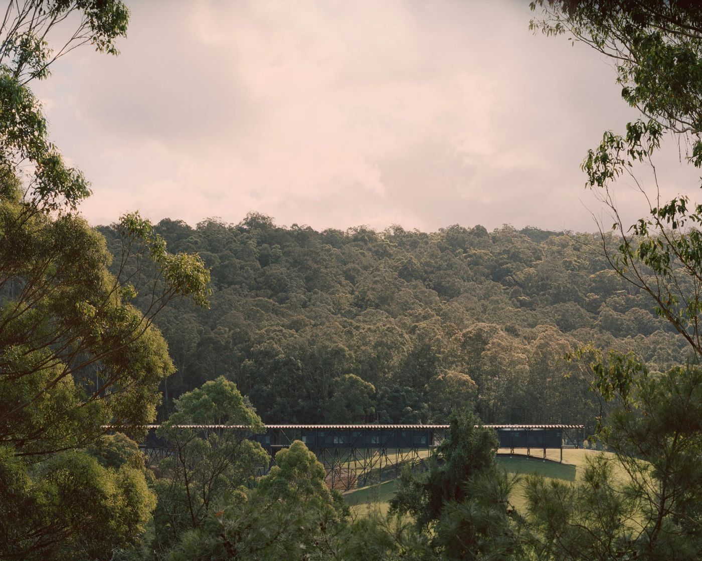 Bundanon Art Museum and Bridge by KTA