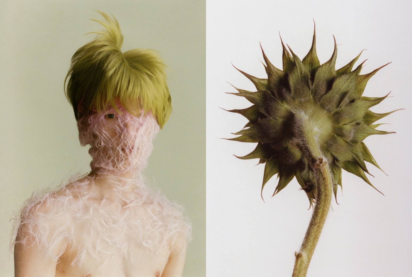 Flower Study by Cho Giseok