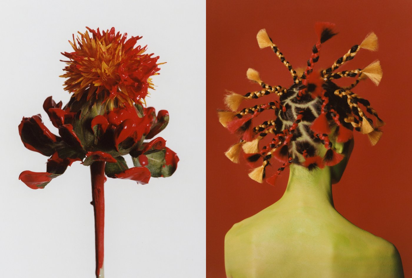 Flower Study by Cho Giseok