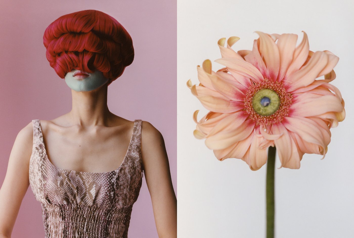 Flower Study by Cho Giseok