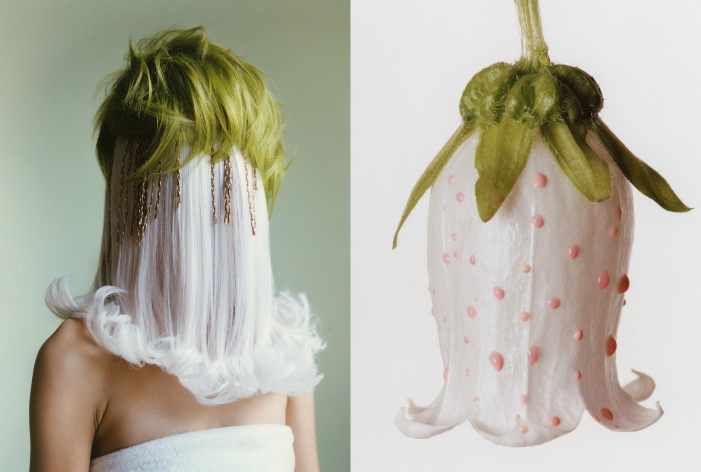 Flower Study by Cho Giseok