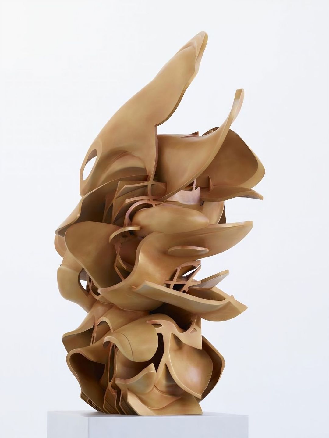 Selected works by Tony Cragg