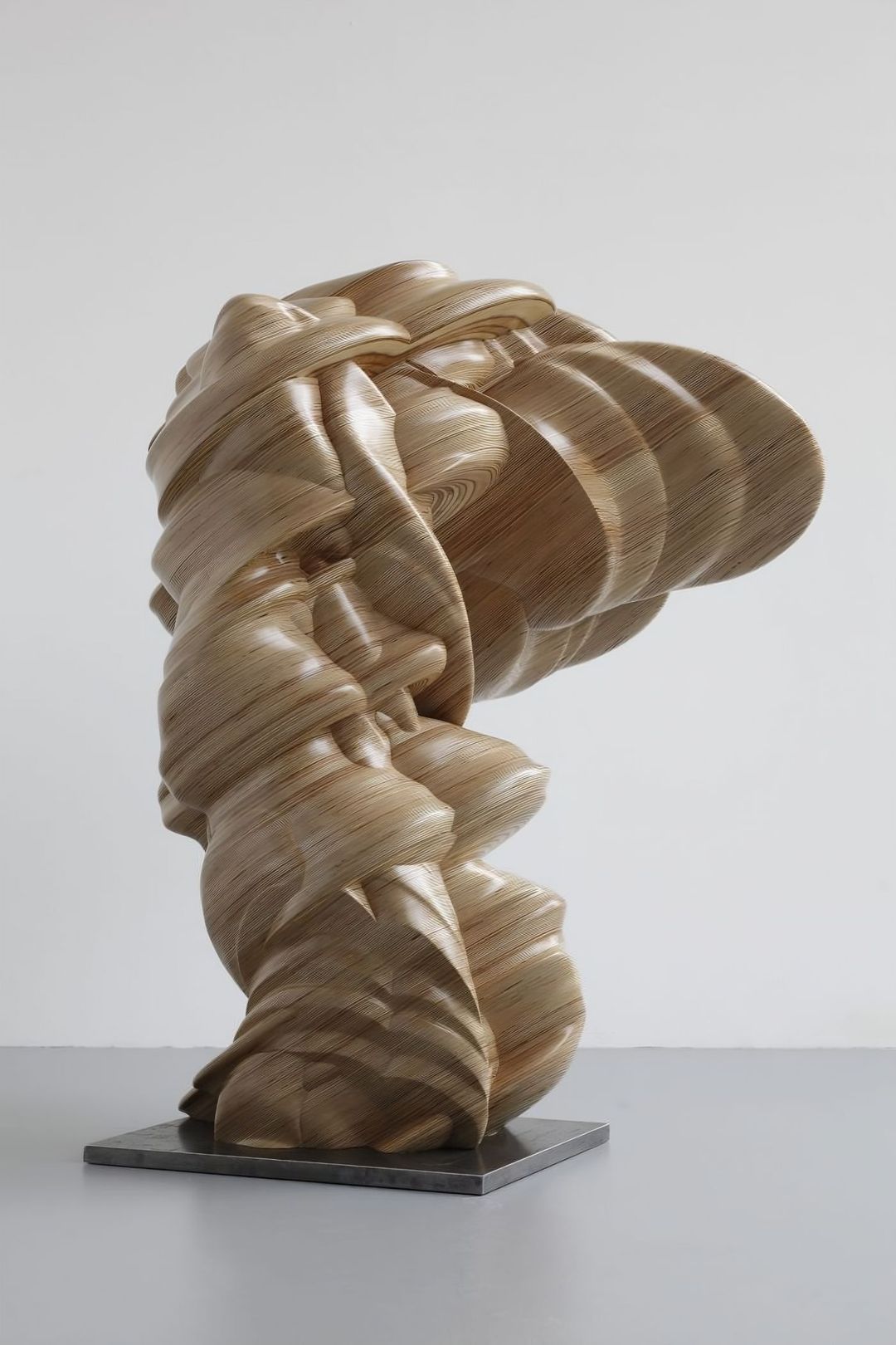 Selected works by Tony Cragg