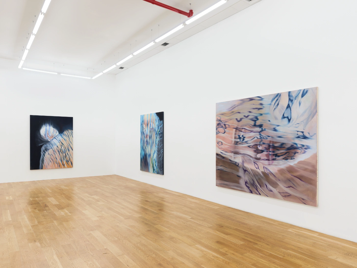 Selected works by Liang Fu