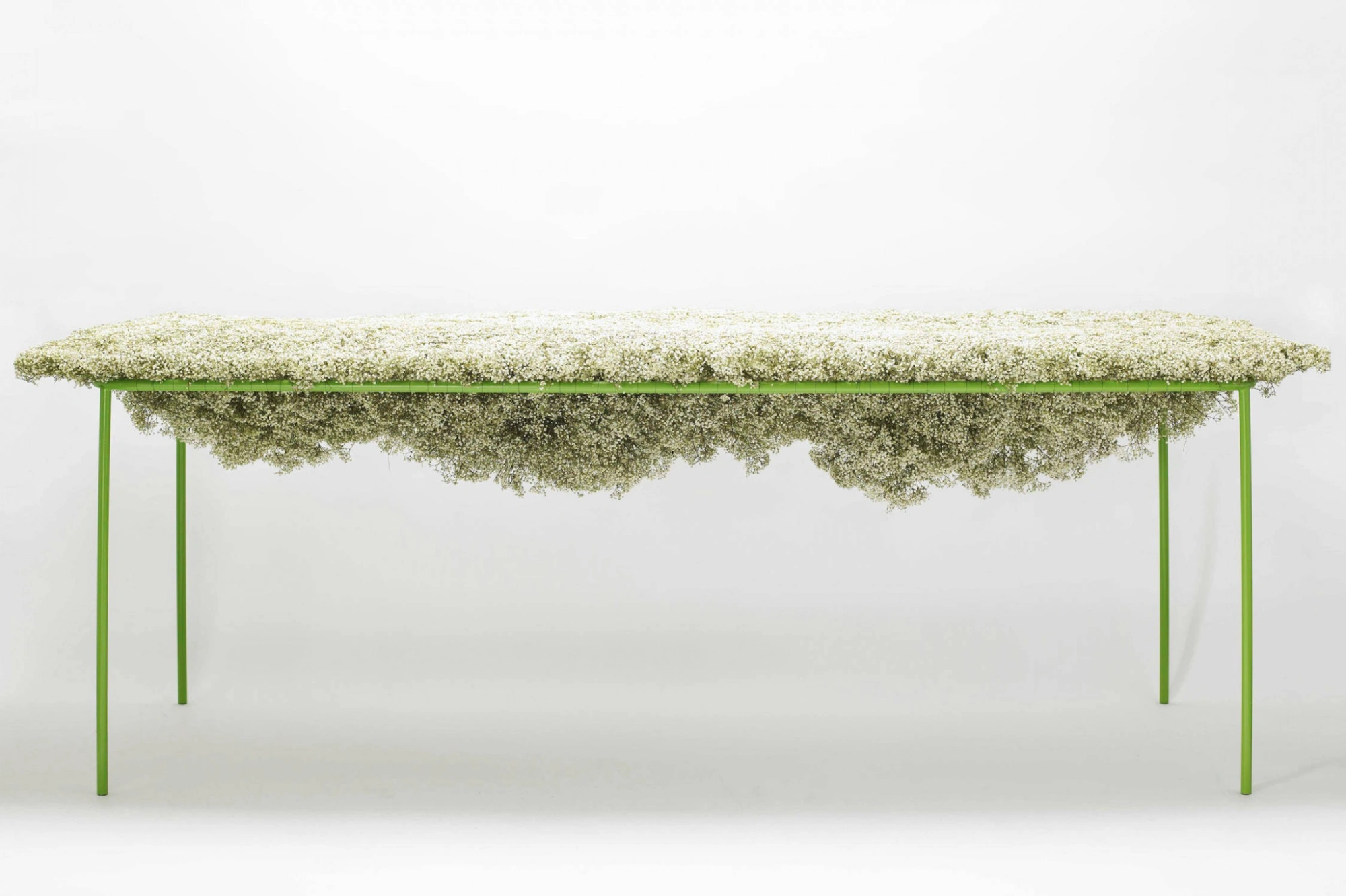 Harvest by Asif Khan